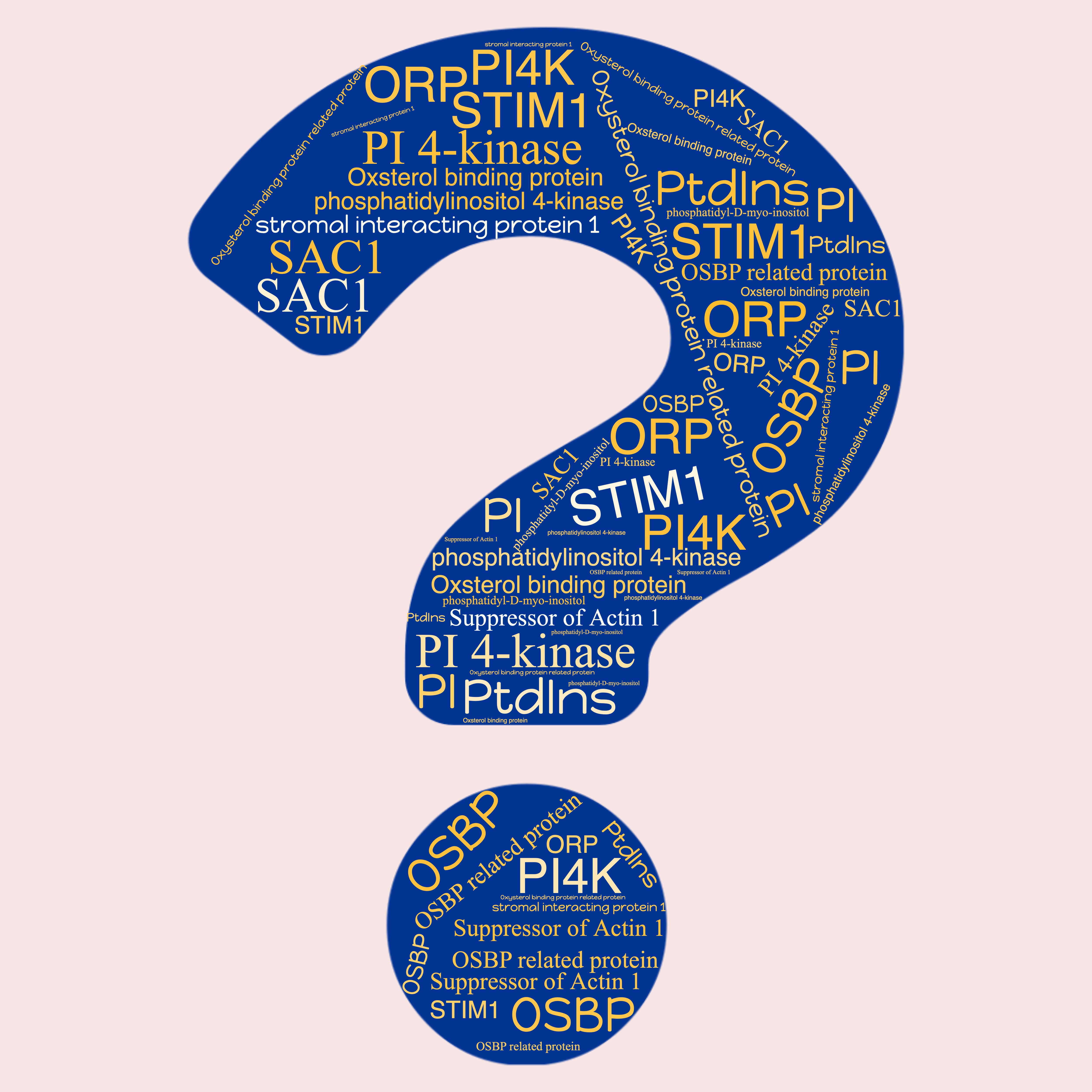 Blog – Hammond Lab